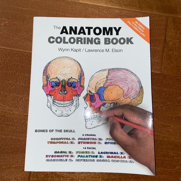 Other | The Anatomy Coloring Book | Poshmark